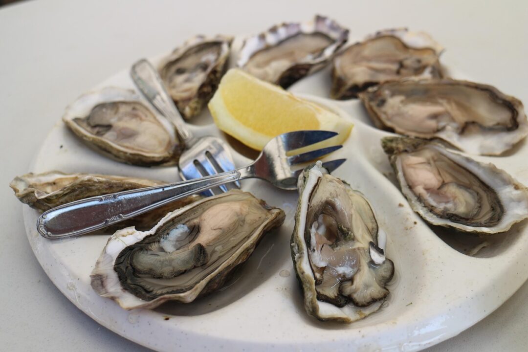 Huîtres, vue mer et authenticité : cap sur Sarzeau pendant votre ...